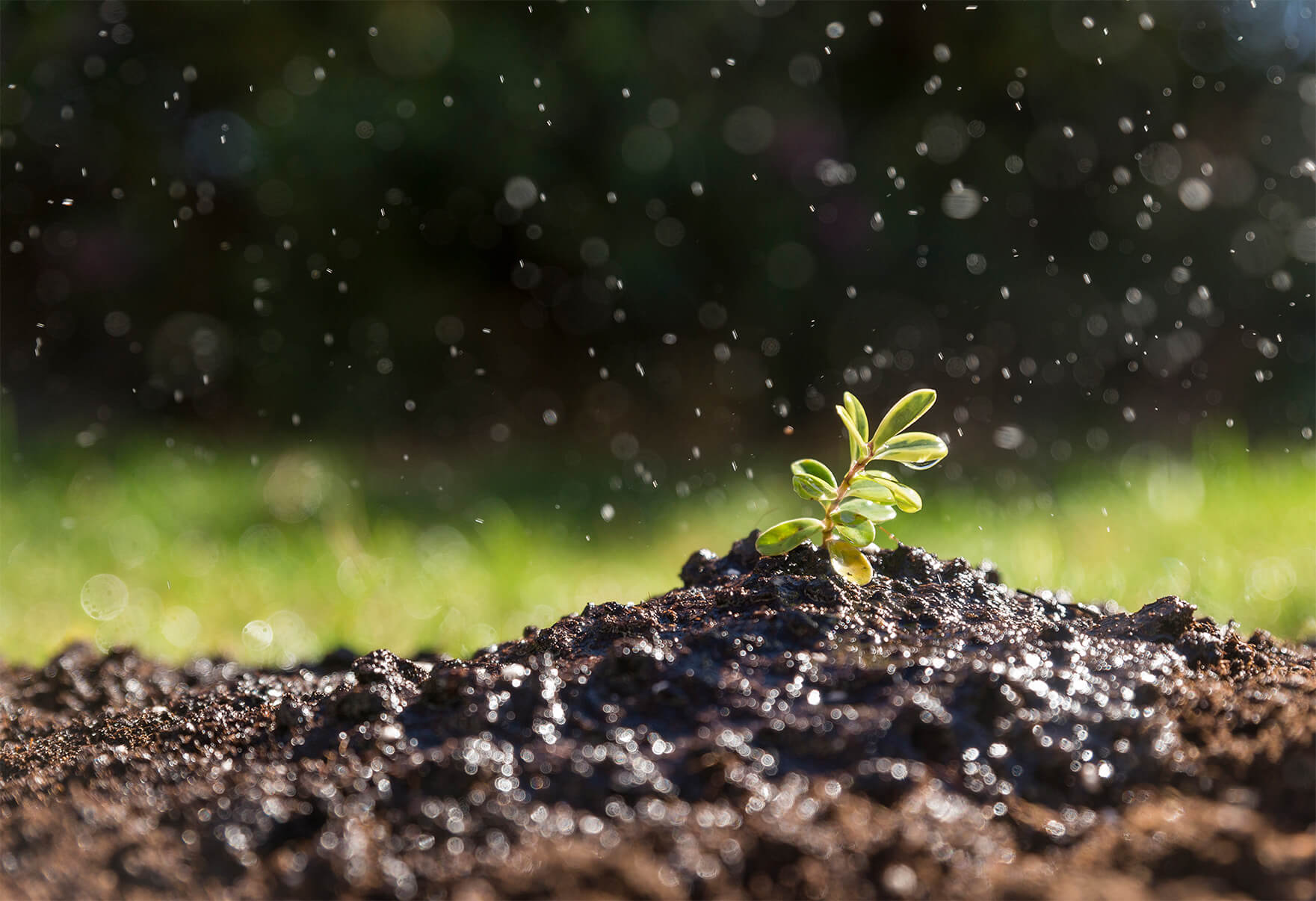 Green Space – GSC Company Site